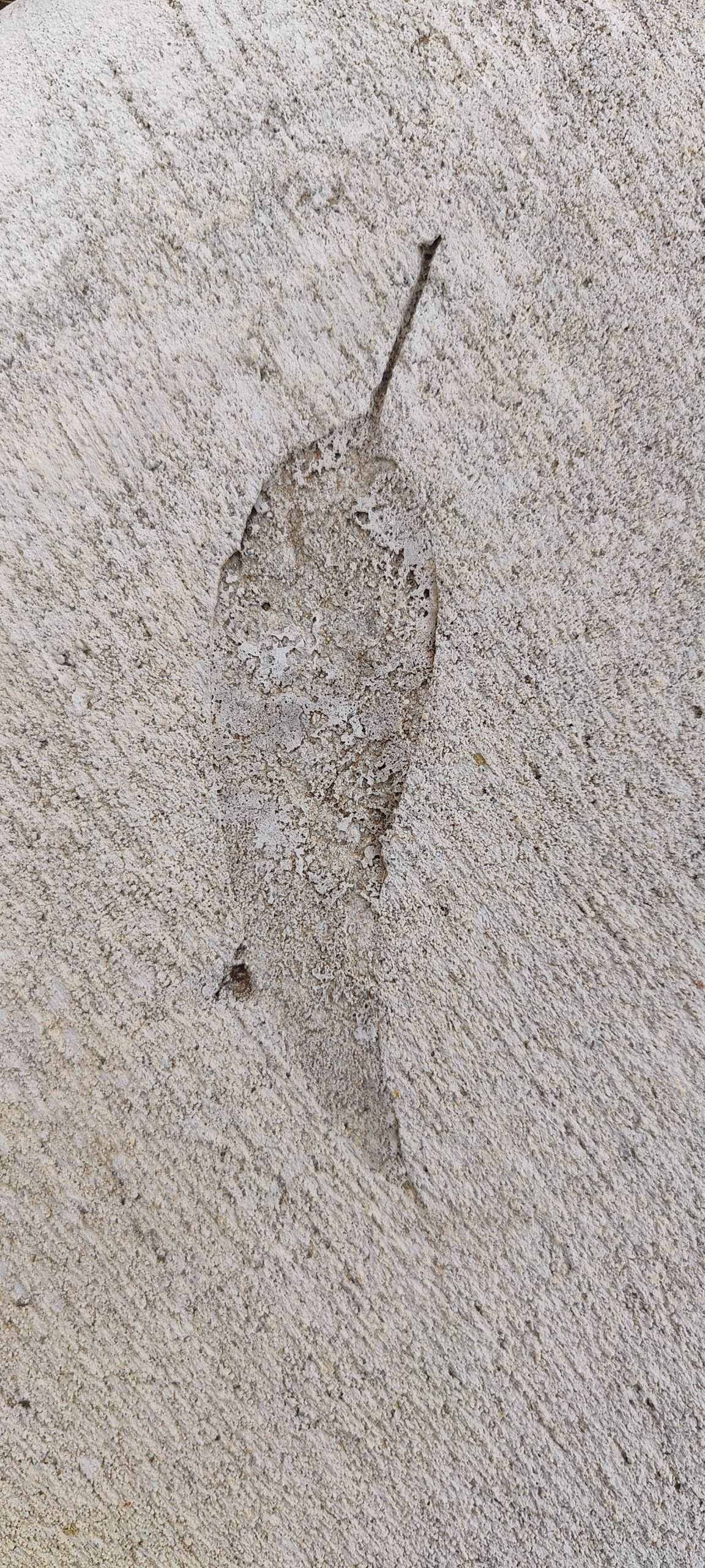 Shamanic Divination: Deepening Your Connection with Nature and the Elements